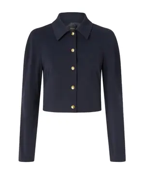 Pinko Button-fastening Cropped Jacket
