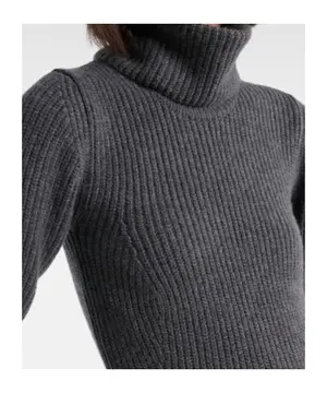 Magda Butrym Ribbed-knit Cashmere Turtleneck Minidress