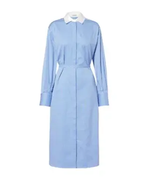 Altuzarra Floyd Pinstripe Cotton Poplin Shirt Dress - Blue