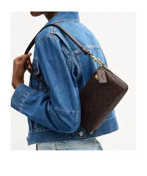 COACH Audrey Crossbody Bag In Signature Canvas - Brass/maple