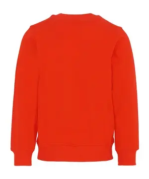 Moschino Bear-motif Sweatshirt