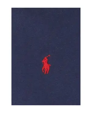 Polo Ralph Lauren Embroidered Pony Zip-up Hoodie