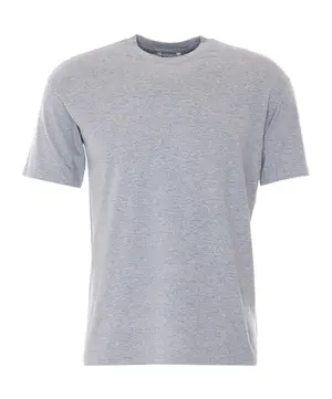 Auralee Crew Neck Short-sleeved T-shirt - Gray