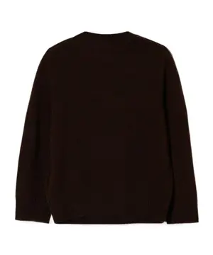 Polo Ralph Lauren Long-sleeved Pullover