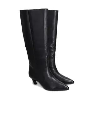 Ash Pointed-toe Boots