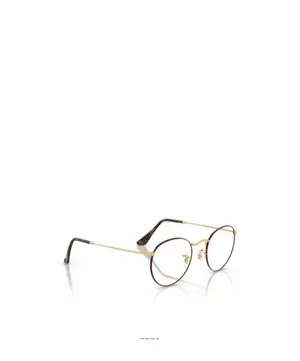 Ray-ban Round Frame Plain Mirror