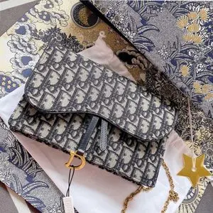 Dior Saddle Pouch