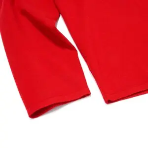 Auralee Long-sleeved Collared Sweater With Button Closure
