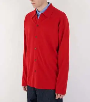 Auralee Long-sleeved Collared Sweater With Button Closure