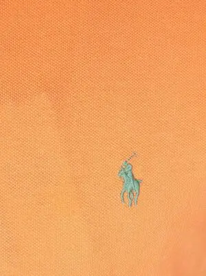 Polo Ralph Lauren Ribbed Polo Shirt