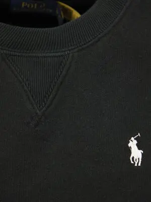 Polo Ralph Lauren Crewneck Sweatshirt With Pony Logo
