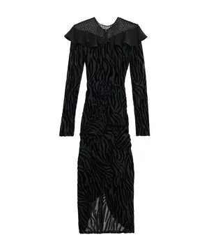 Isabel Marant Étoile Zebra Sheer Asymmetric Dress