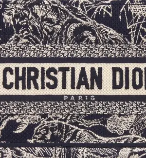 Dior Mini Book Tote With Strap