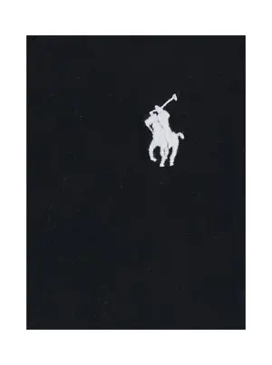 Polo Ralph Lauren Embroidered V-neck T-shirt