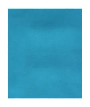 Alberta Ferretti Silk Scarf
