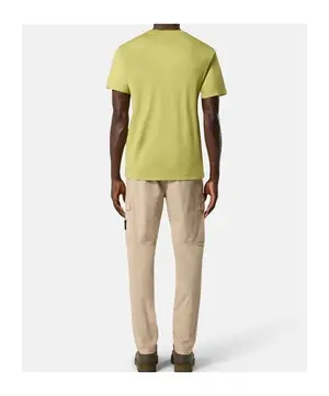 Stone Island Short Sleeve T-shirt In Cotton Jersey - Fern