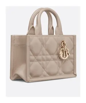 Dior Mini Book Tote