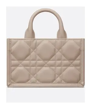 Dior Mini Book Tote