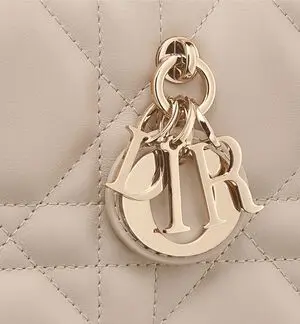 Dior Mini Book Tote