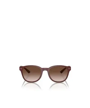 Emporio Armani Full Frame Sunglasses - Brown