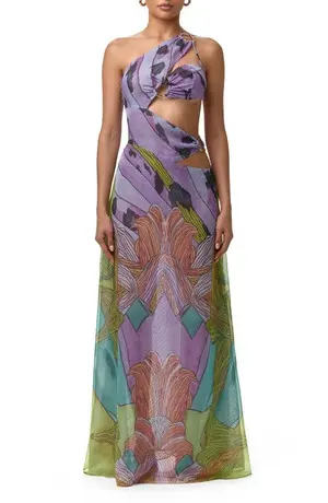Naked Wardrobe Print Sheer Chiffon Cutout Maxi Dress - Lethal Botanical
