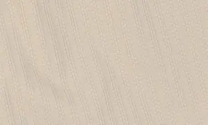 PLEASURES Textured Stripe Active Shorts - Beige
