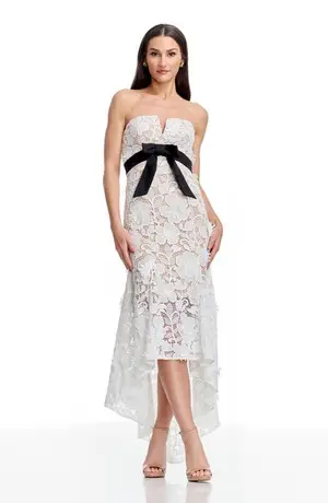 Dress The Population Lucia Floral Lace High-low Cocktail Dress