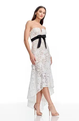 Dress The Population Lucia Floral Lace High-low Cocktail Dress