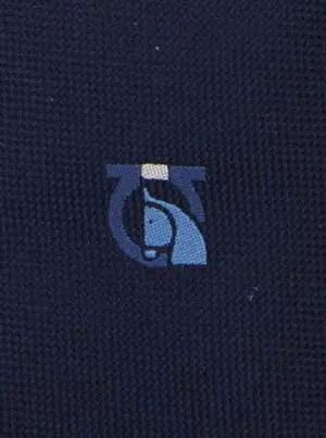 FERRAGAMO Silk Neck Tie With Logo