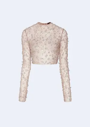 Lapointe Embroidered Mesh Cropped Top - Washed Silver