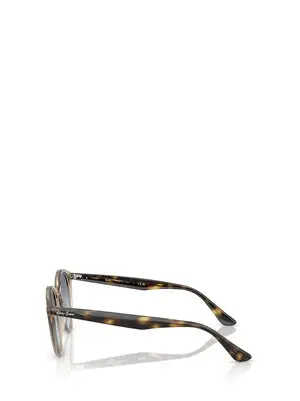 Ray-ban Round Frame Sunglasses