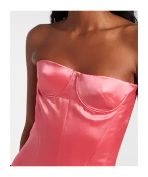 Alex Perry Draped Silk Corset Dress