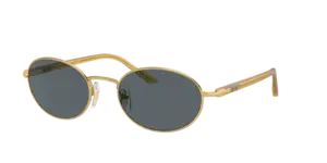 Persol Persol Oval Sunglasses Blue