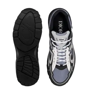 Dior B30 Lace-up Sneakers
