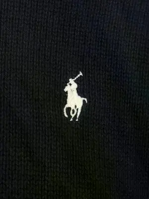 Polo Ralph Lauren Embroidered Polo Collar Sweater
