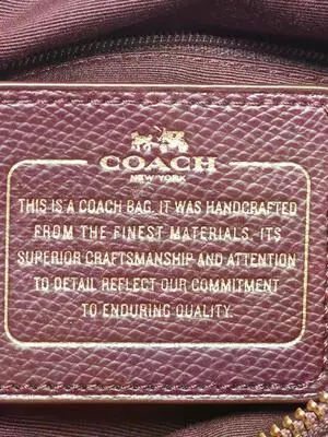 COACH Small Christie Carryall Tote Bag