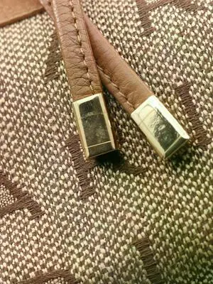 BVLGARI Logomania Canvas Handbag