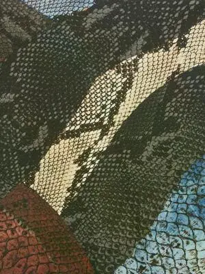 Just Cavalli Snakeskin Print T-shirt