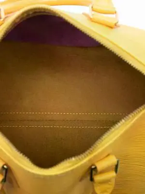 LOUIS VUITTON Epi Speedy 25 Boston Bag