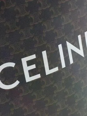 Celine Triomphe Vertical Cabas Tote Satchel