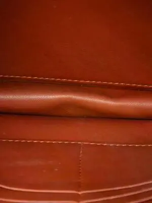 Celine Leather Frame Wallet On Chain Crossbody Bag