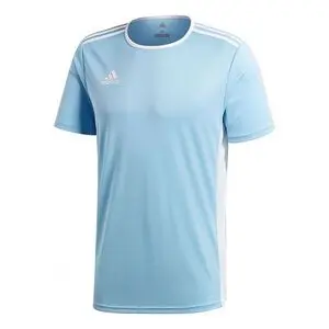 Adidas Entrada 18 Training Short Sleeve Tee - Blue/white