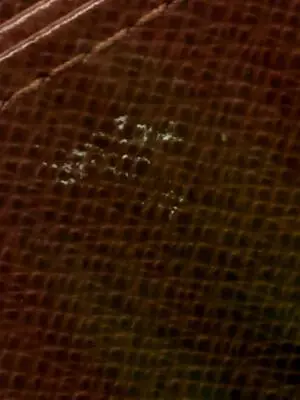 LOUIS VUITTON Zippy Monogram Wallet