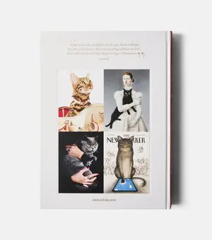 Assouline Chic Cats Book
