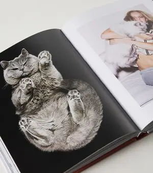 Assouline Chic Cats Book