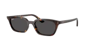 Ray-ban Ray-Ban Zaya Bio-Based Sunglasses Dark Grey