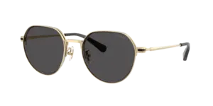 COACH Sunglass Cae81