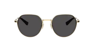 COACH Sunglass Cae81