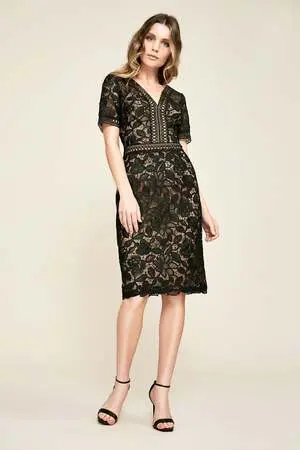 Tadashi Shoji Katelyn Lace Dress - Black/nude