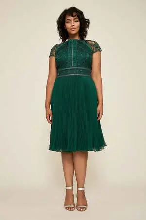 Tadashi Shoji Zivan Flared Lace Dress - Pine
